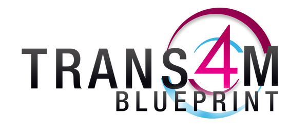 TRANS4M BLUEPRINT – Shakeshifters